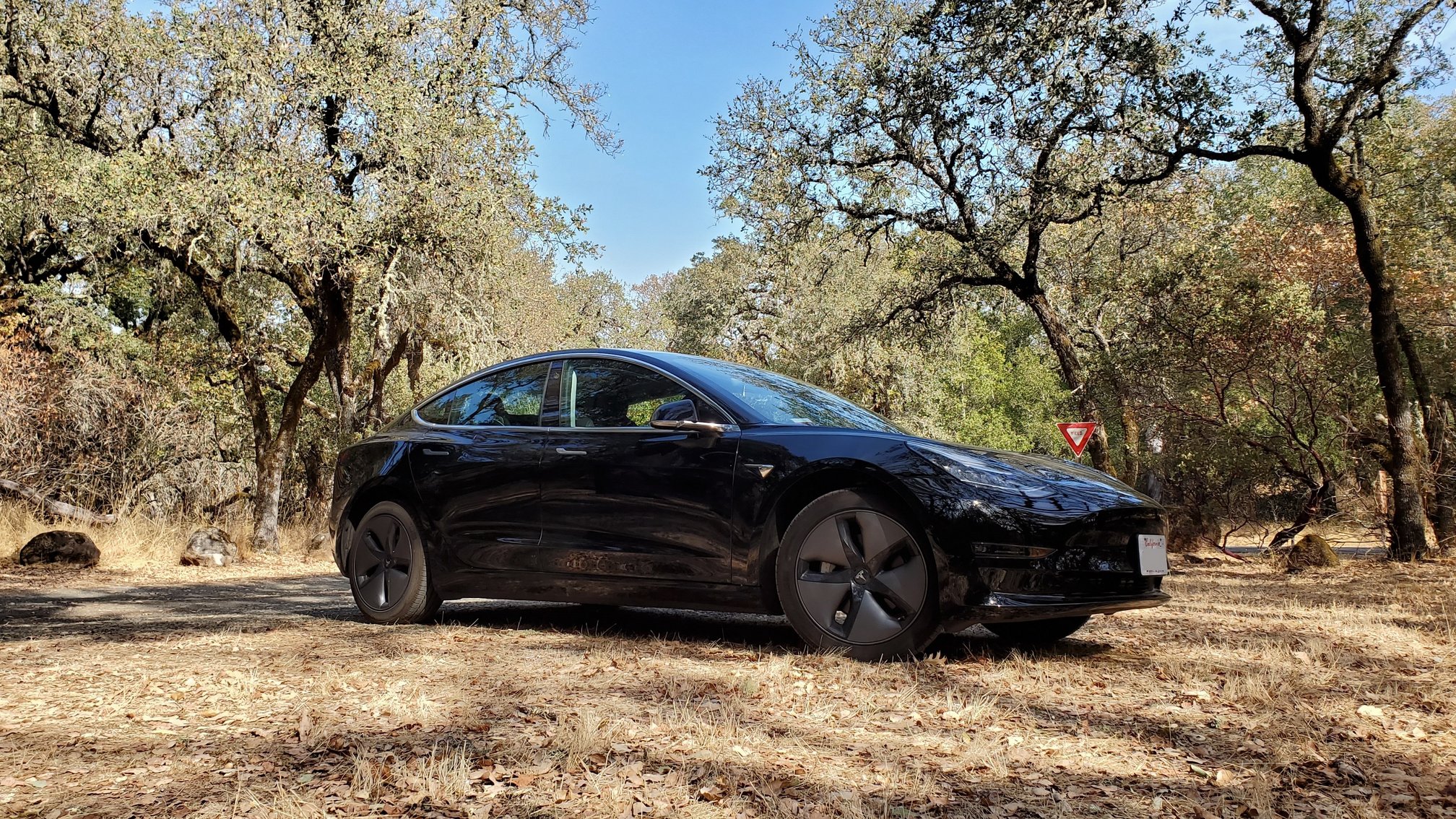 Long Term: 2018 Tesla Model 3 Mid Range – Mike's Steering Column